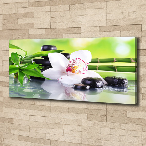 Brayden Studio Orchidee - Kunstdrucke auf Leinwand - Wrapped Canvas | Wayfair.de